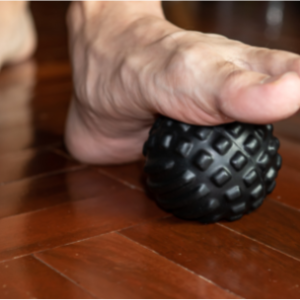 ebook - Plantar People